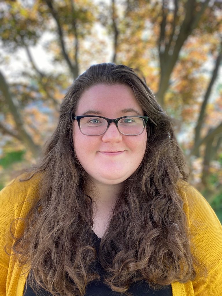 Providing Job Training, Placement, and Services to Businesses